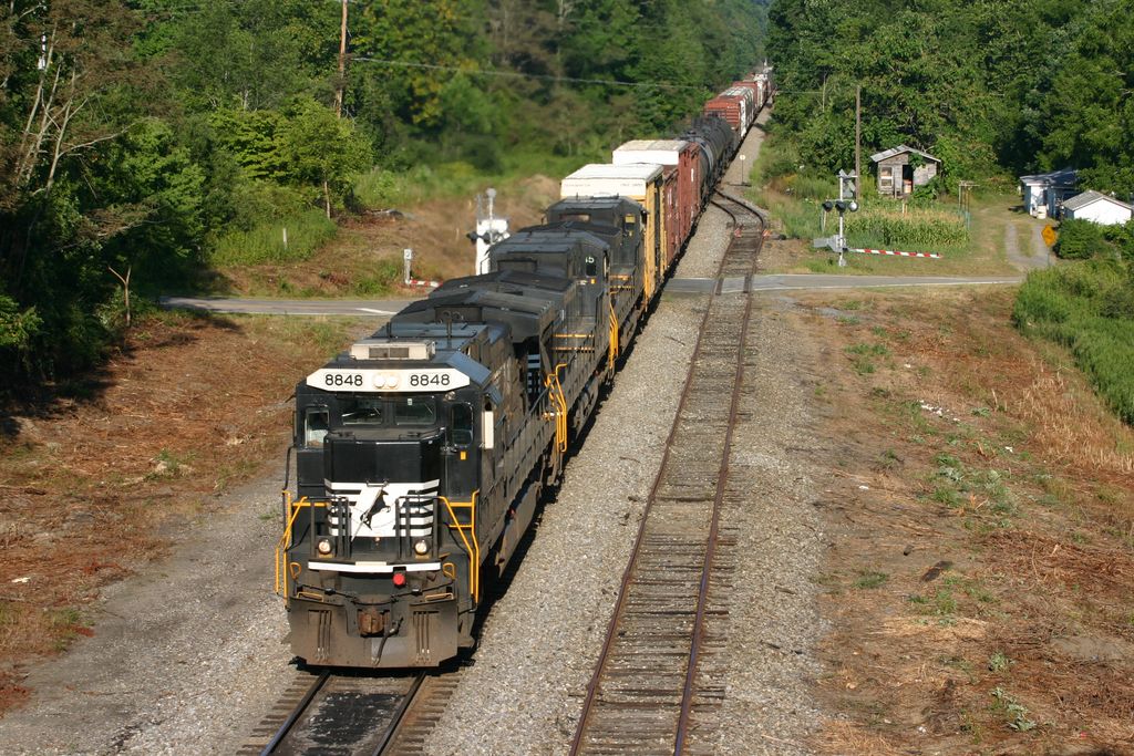 August 8th-9th Recent Photos